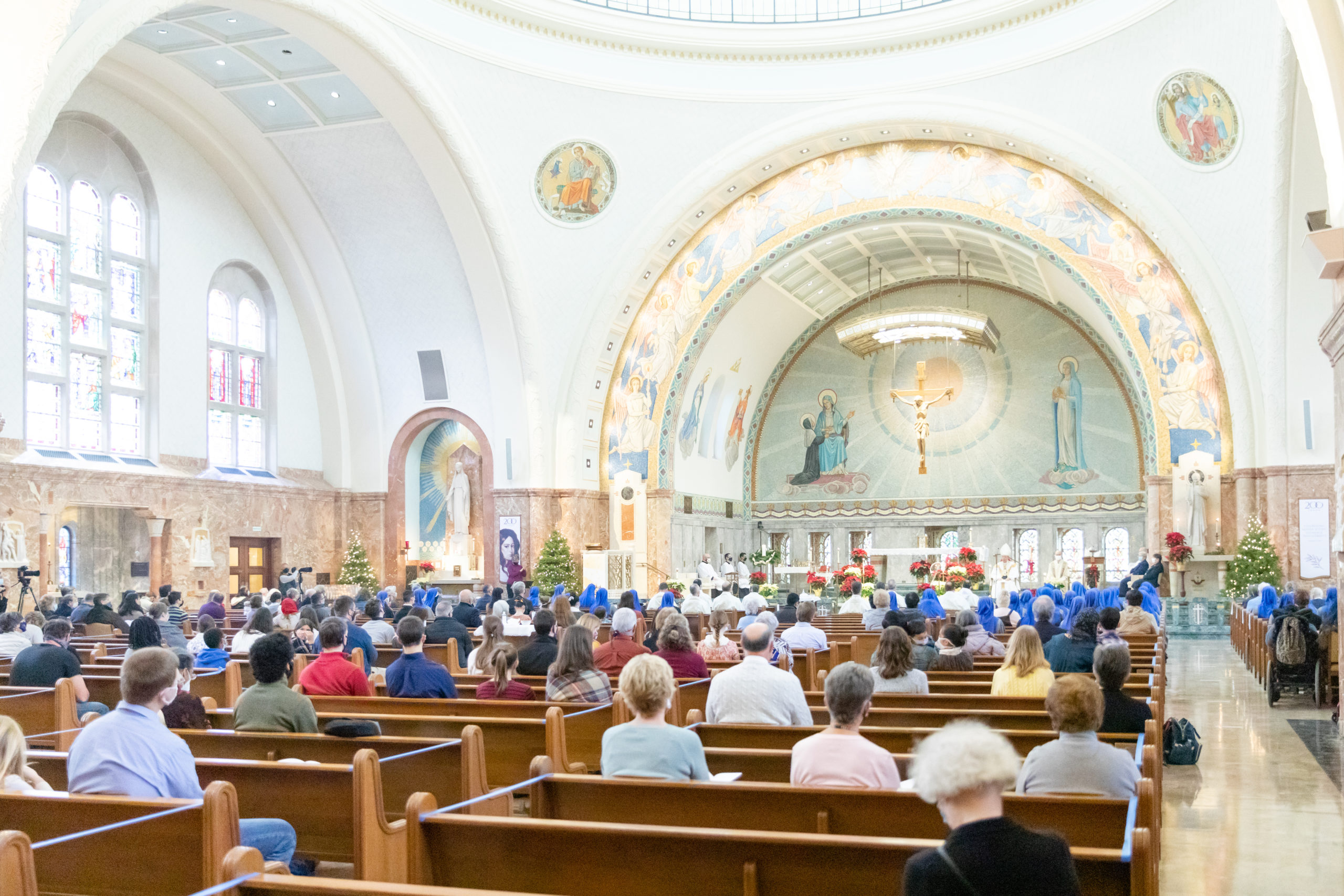 Seeds - Seton Shrine