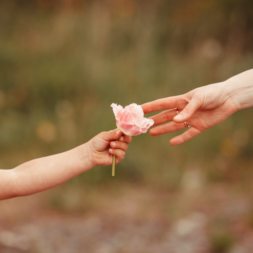 The National Shrine of Saint Elizabeth Ann Seton