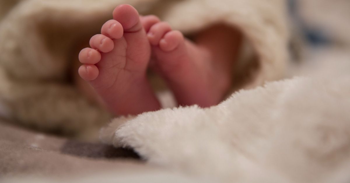 A Family Grew Out of Devotion to Mother Seton - Seton Shrine